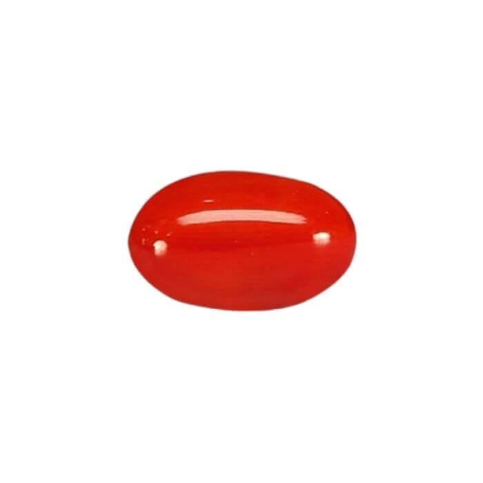 Loose Coral Stone (Munga Stone) - Shraddha Shree Gems